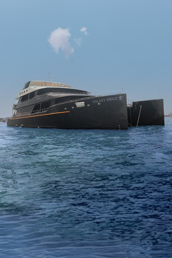 Galaxy Sirius Cruise